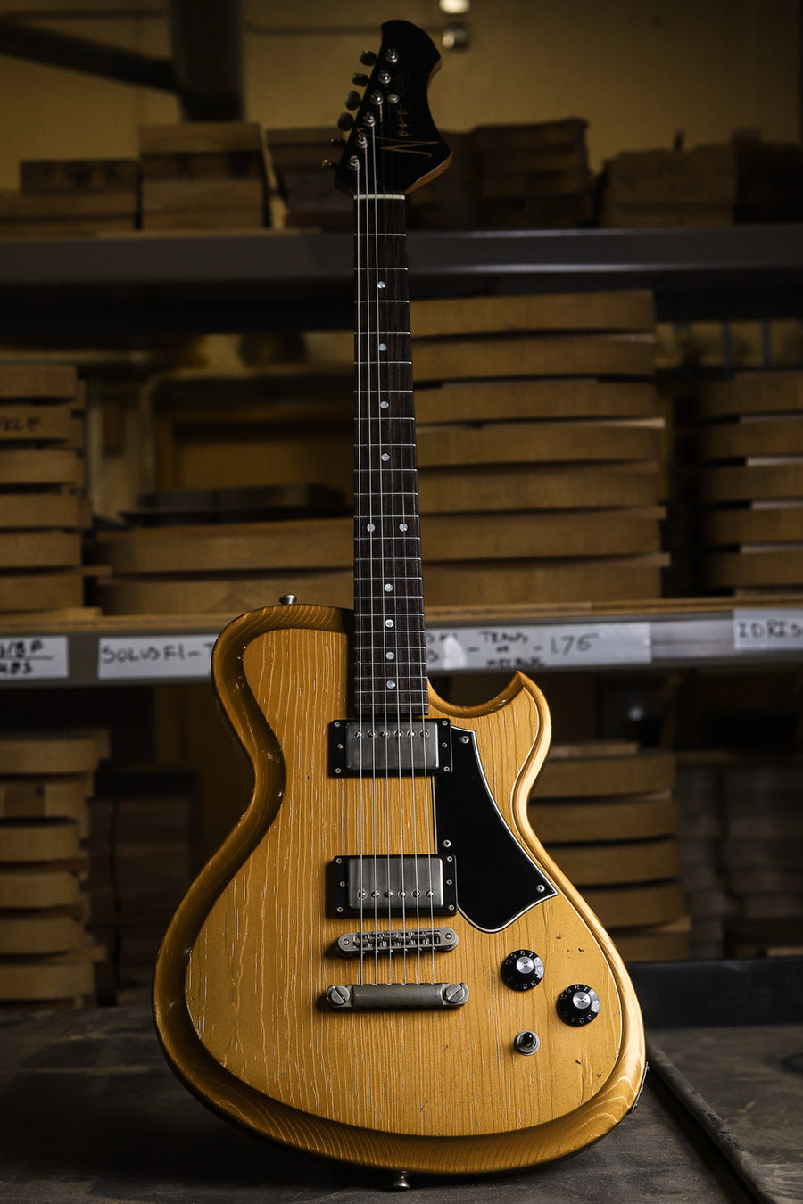 ORDER FORMS – Novo Guitars