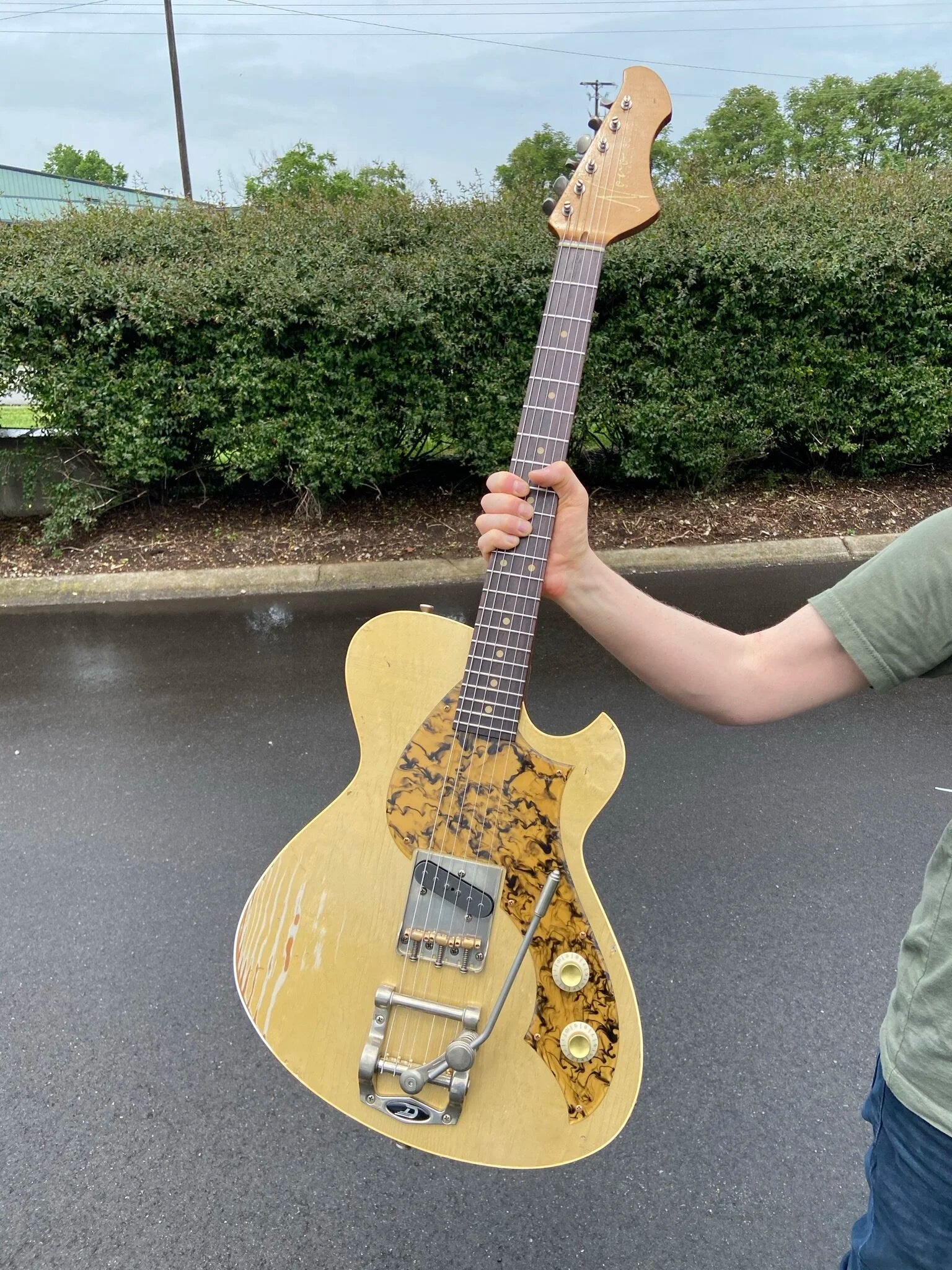 NOVO SIGNATURE SOLUS F1 - Top Line Gold – Novo Guitars