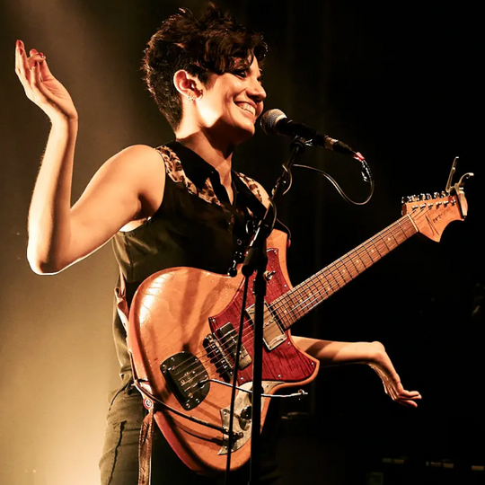 Artists – Novo Guitars